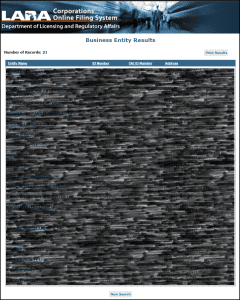 Michigan Secretary of State (LARA) | Business Entity Search Guide ...