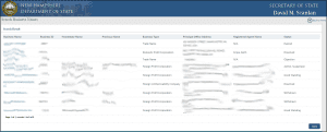 New Hampshire Secretary of State | Business Entity Search Guide ...