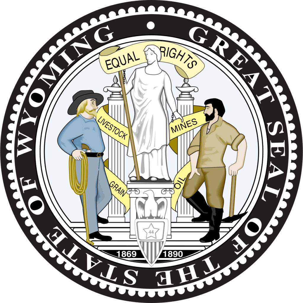 Wyoming Secretary of State | Business Entity Search Guide | Secretary ...